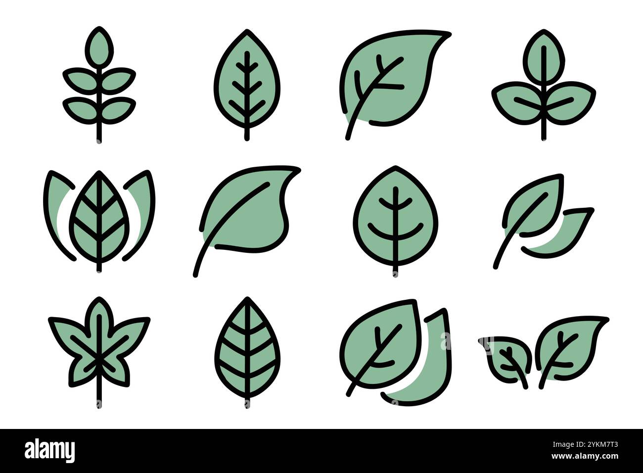 Leaves and branch filled outline icons set.Vector illustration Stock ...