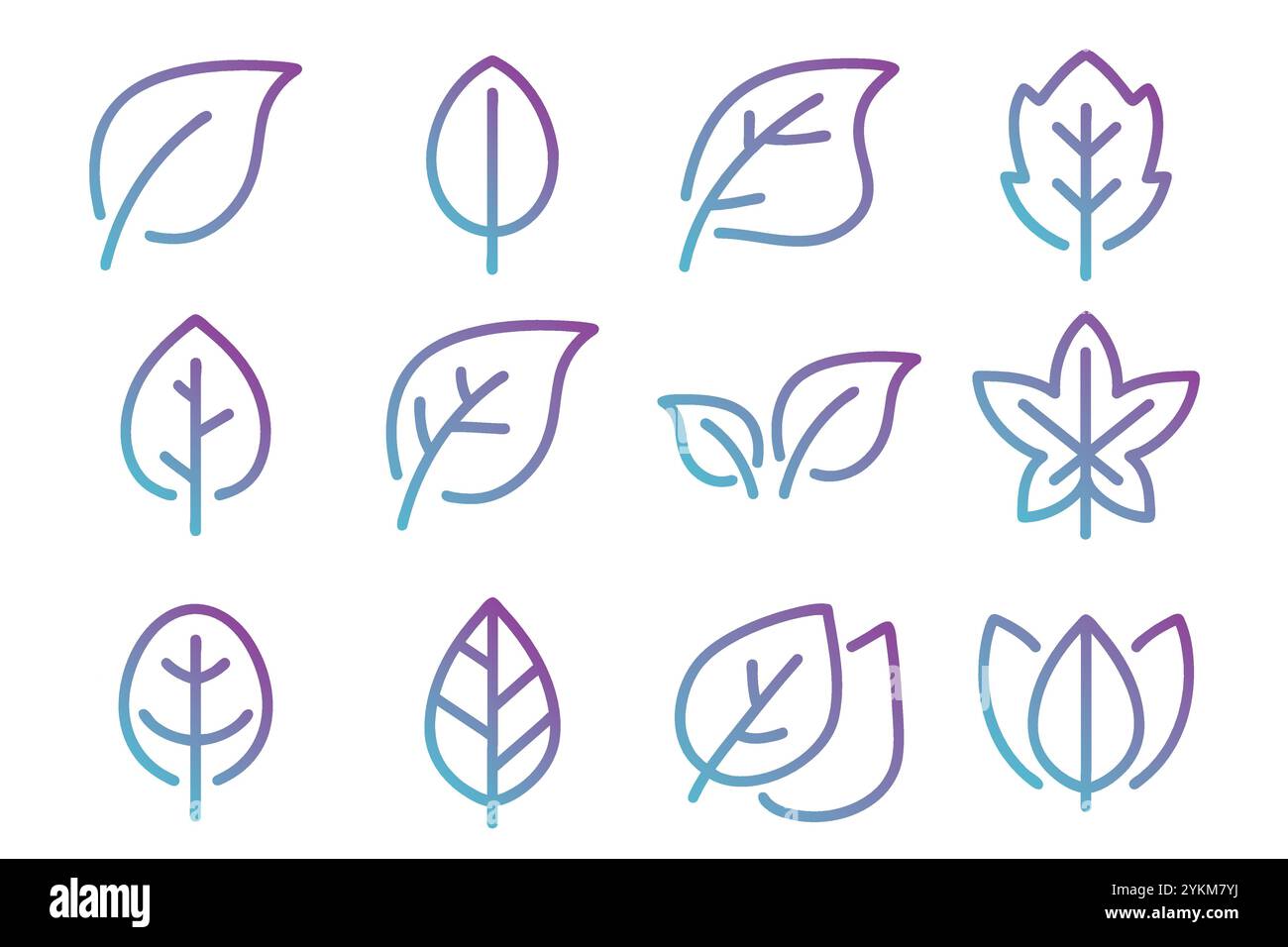 Natural set gradient outline leaves and branches icons Stock Vector ...