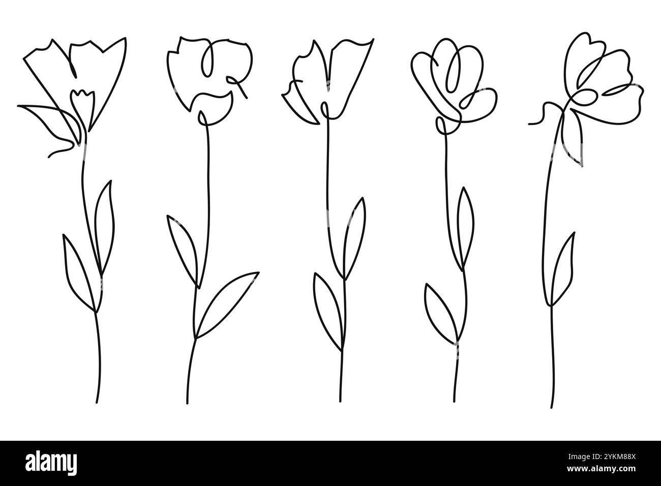 Single line art vector flower illustration collection.One continuous ...