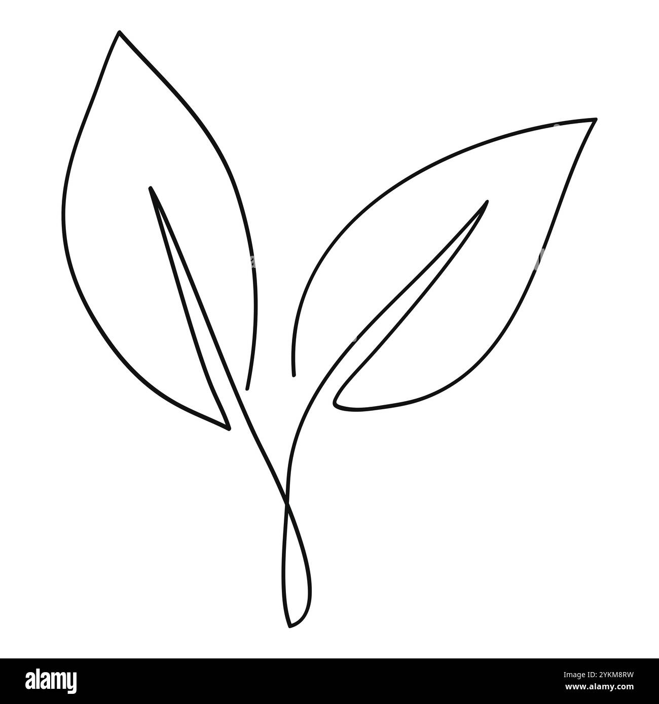 Leaves hand - drawn line art one continuous.Vector illustration Stock ...