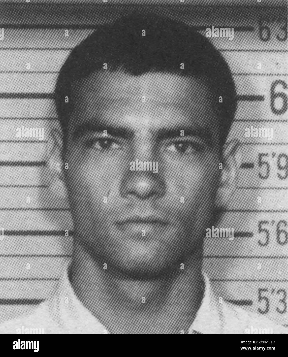 Braswell, Glenn - Underseer (cropped Stock Photo - Alamy