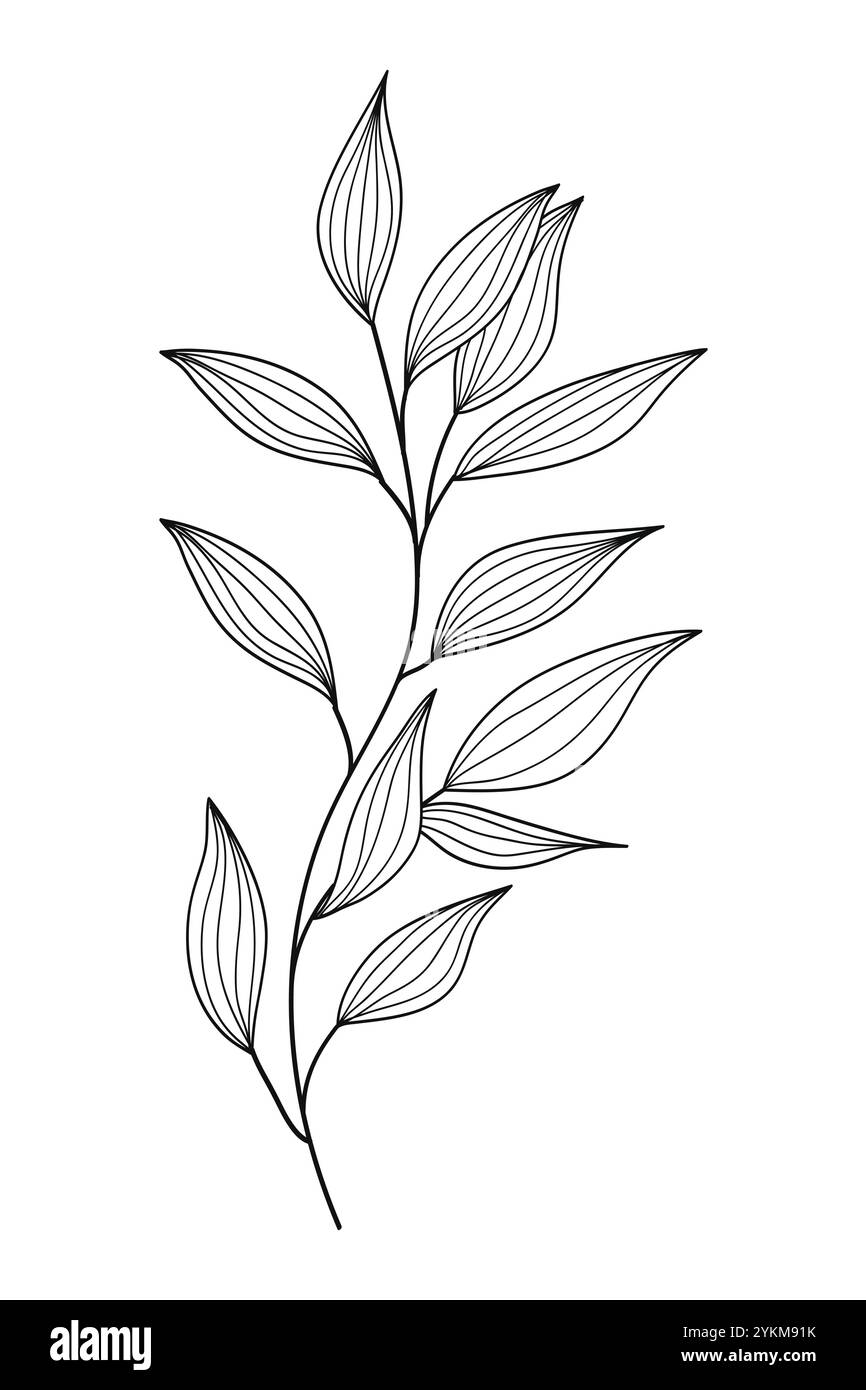 Botanical leaf simple outline sketch doodle hand drawn illustration ...