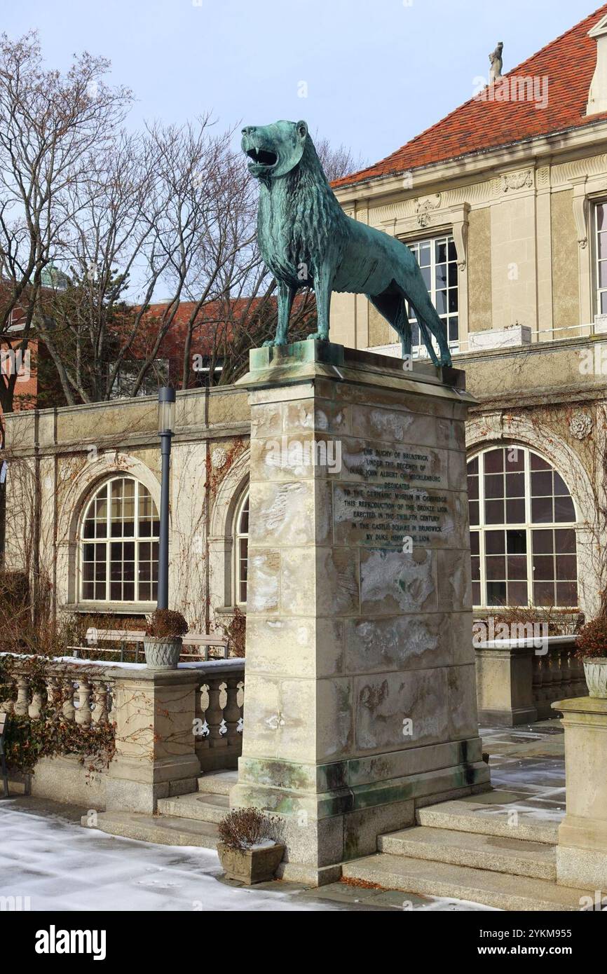 Braunschweiger Löwe - Harvard University - Cambridge, MA Stock Photo ...