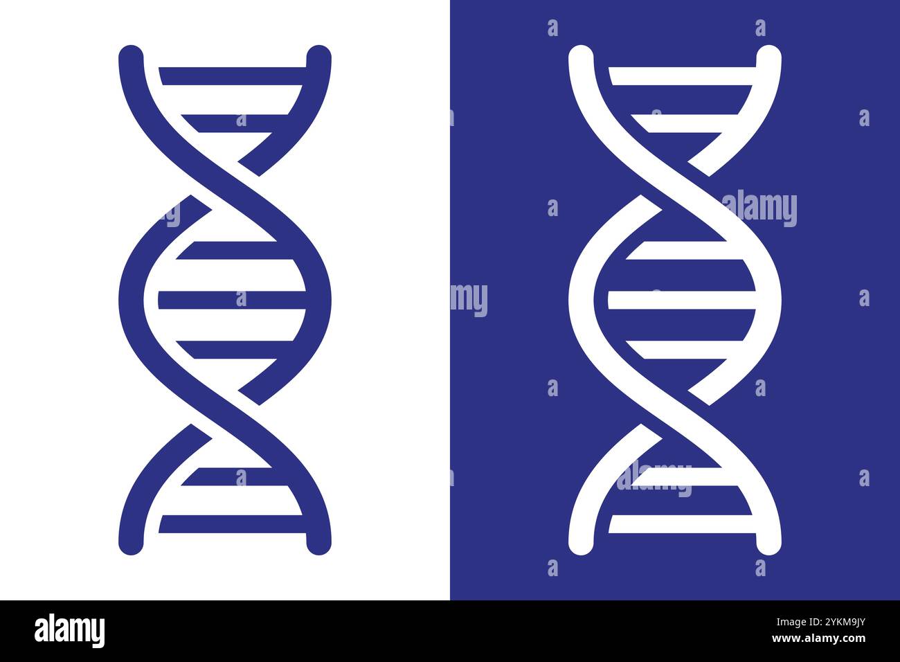 Vector blue and white dna helix icon set Stock Vector Image & Art - Alamy