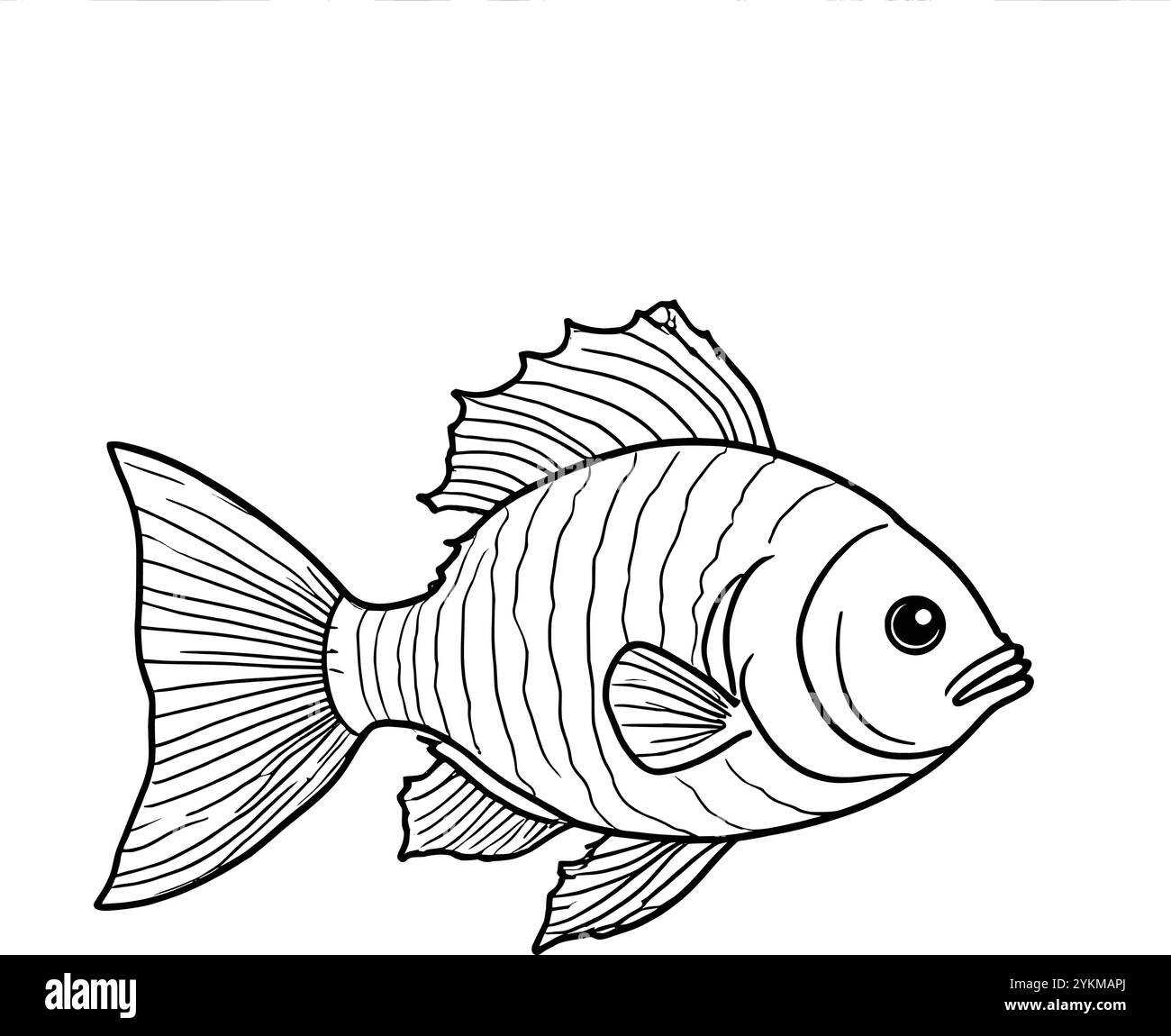 A detailed line drawing of a fish with large fins and scales, perfect ...