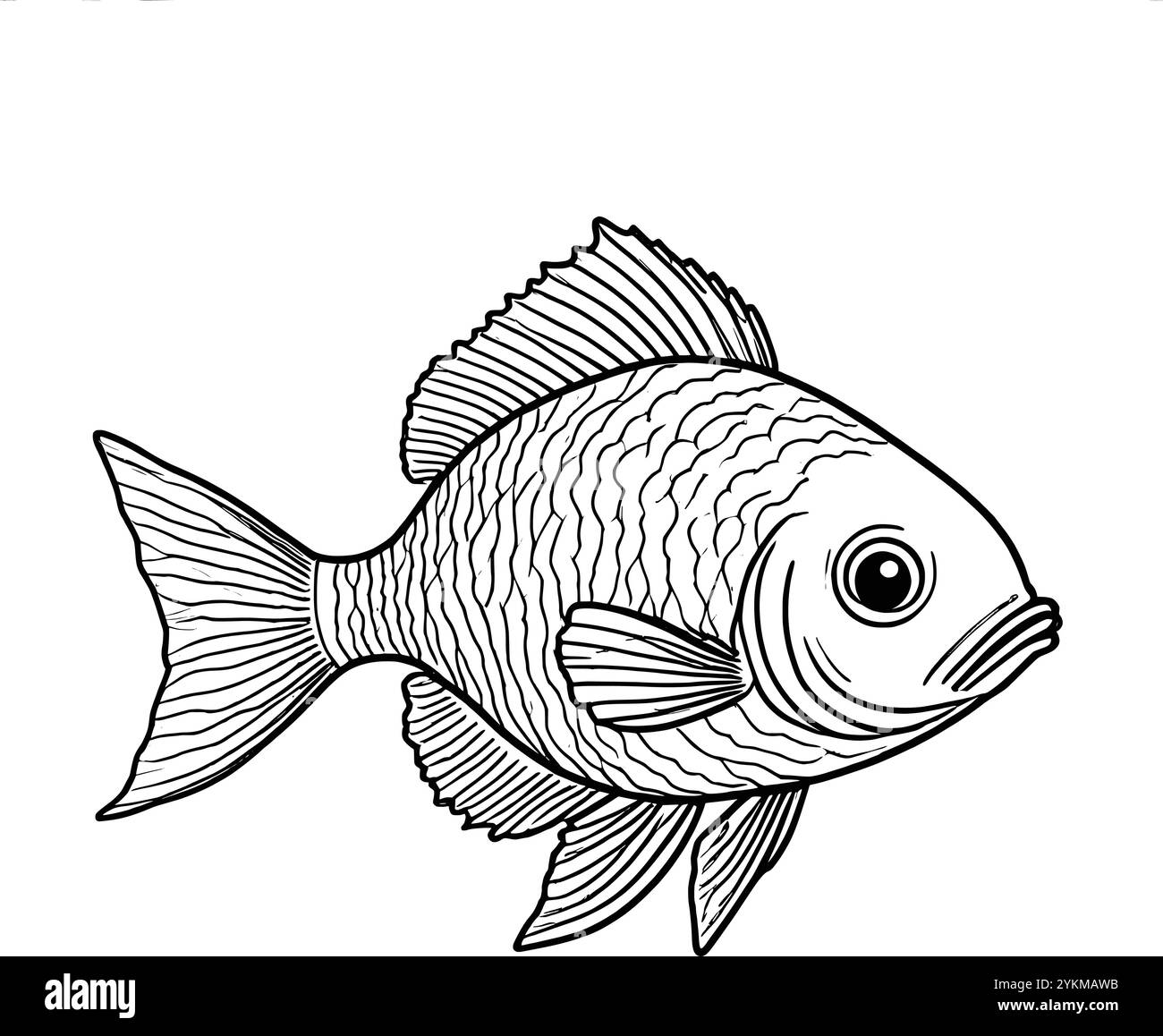 A detailed line drawing of a fish with large fins and scales, perfect ...