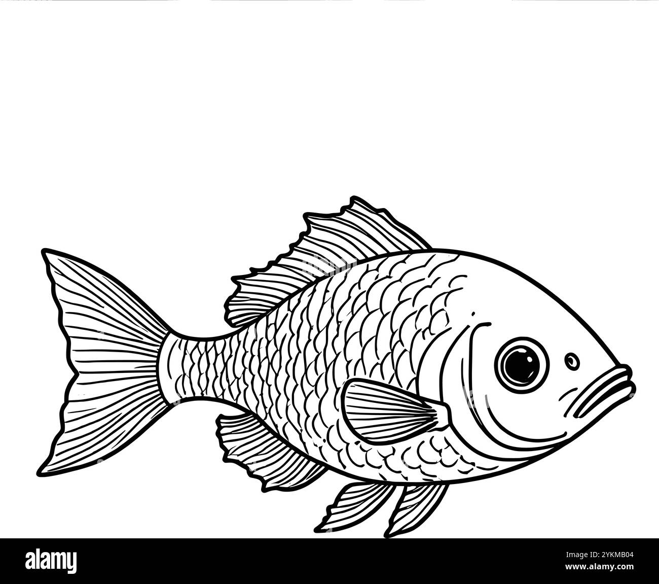 A detailed line drawing of a fish with large fins and scales, perfect ...