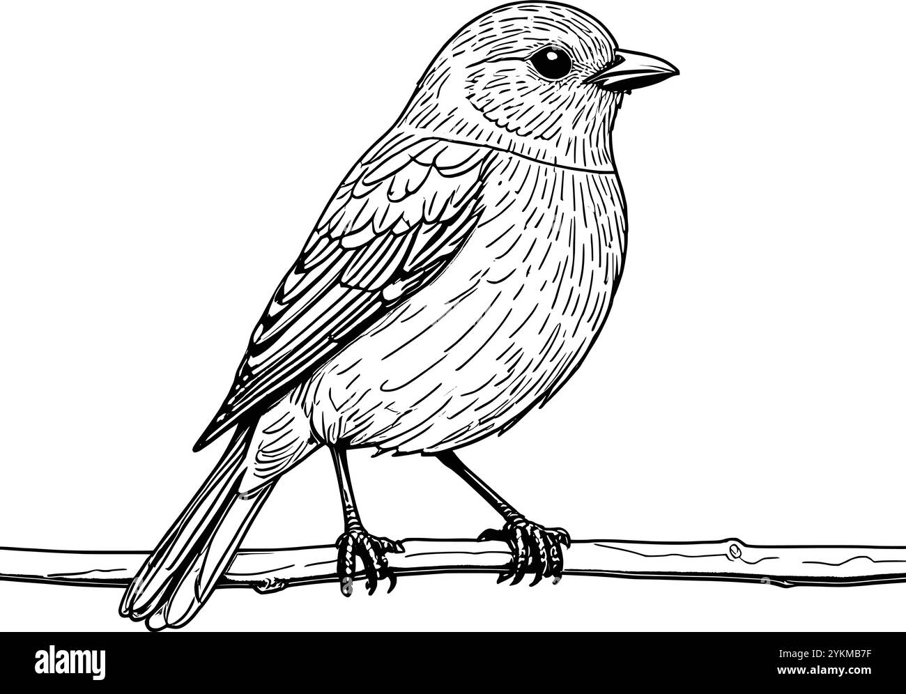 A detailed line drawing of a large battleship, likely a World War II ...