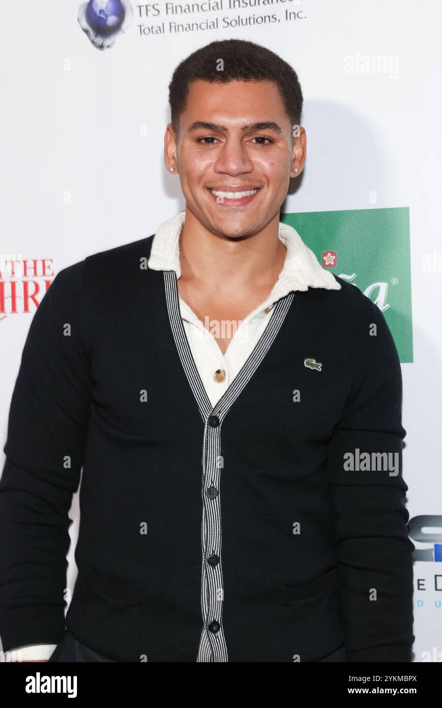 Toluca Lake, California, USA. 17th November, 2024. Actor Tyler Andrews ...