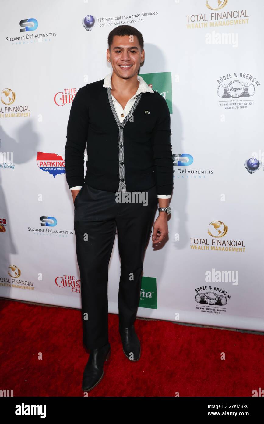 Toluca Lake, California, USA. 17th November, 2024. Actor Tyler Andrews ...