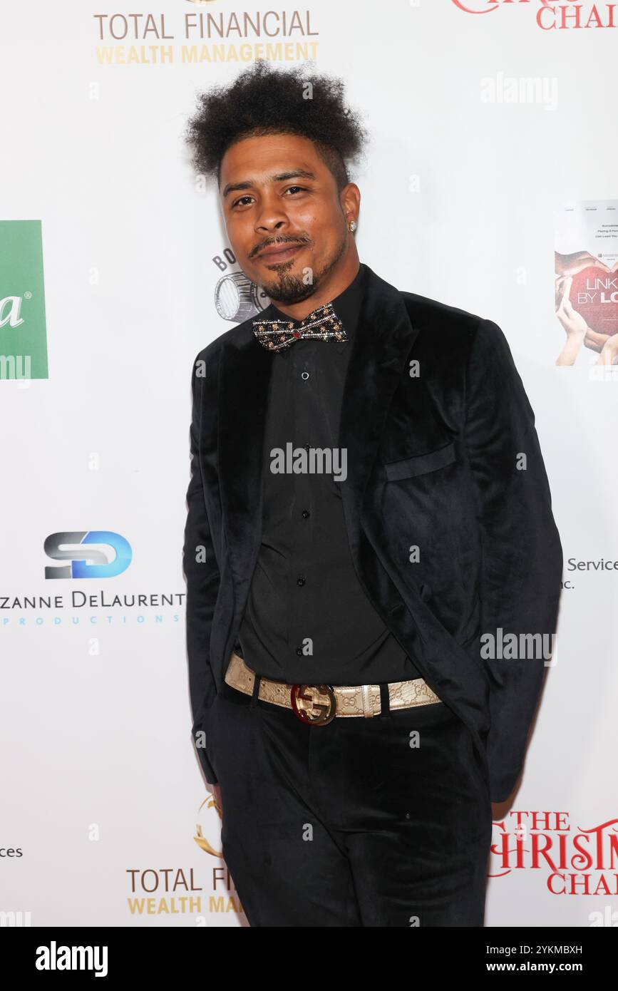 Toluca Lake, California, USA. 17th November, 2024. Actor David Solis ...