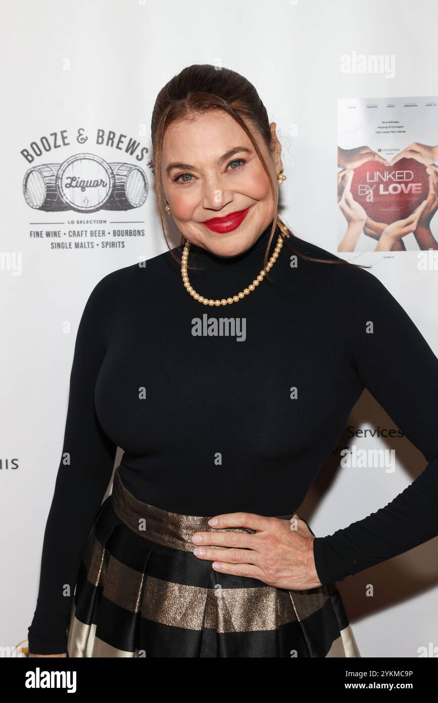 Toluca Lake, California, USA. 17th November, 2024. Producer Regina ...