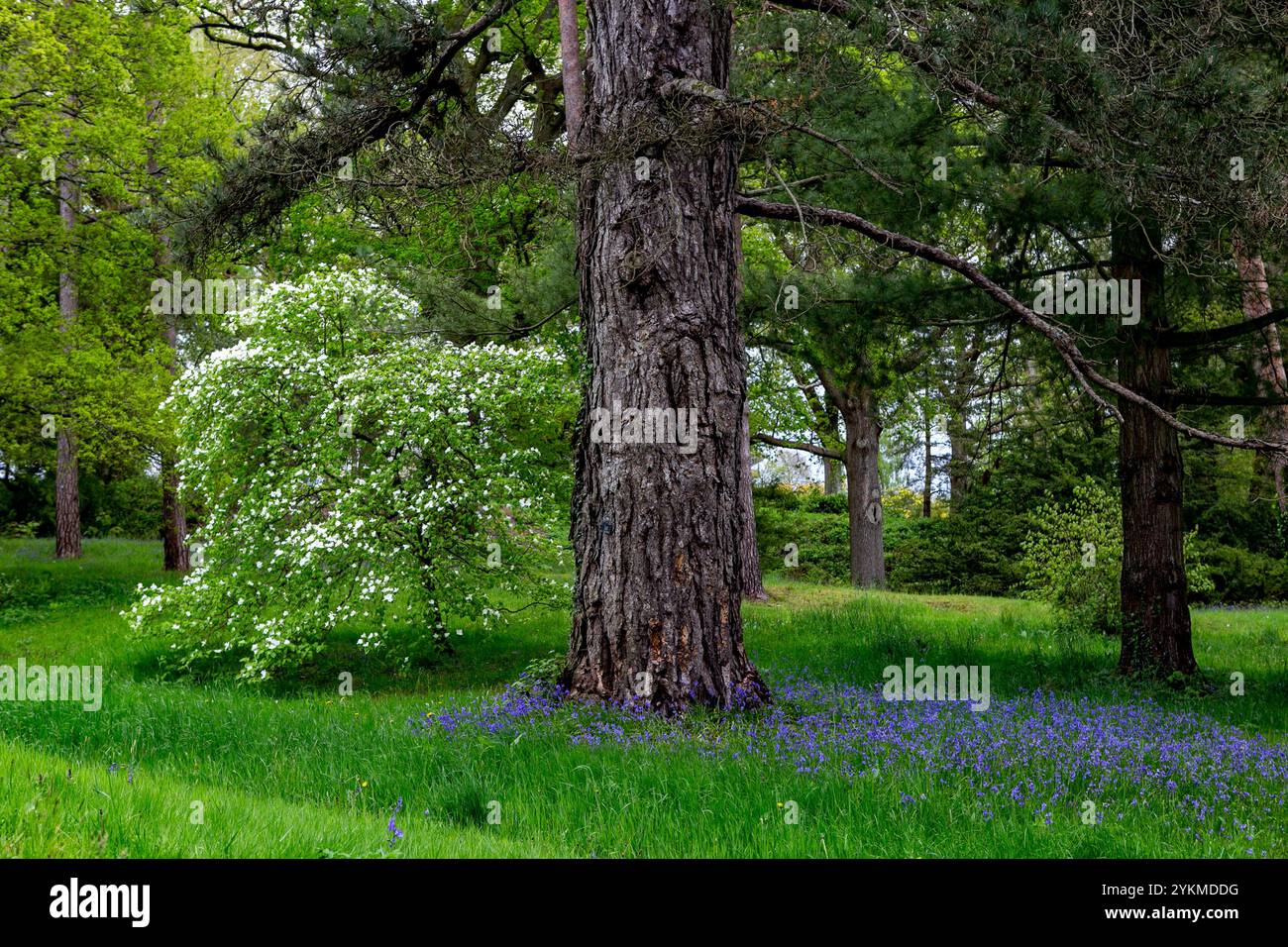 Millenium seedbank wakehurst hi-res stock photography and images - Alamy