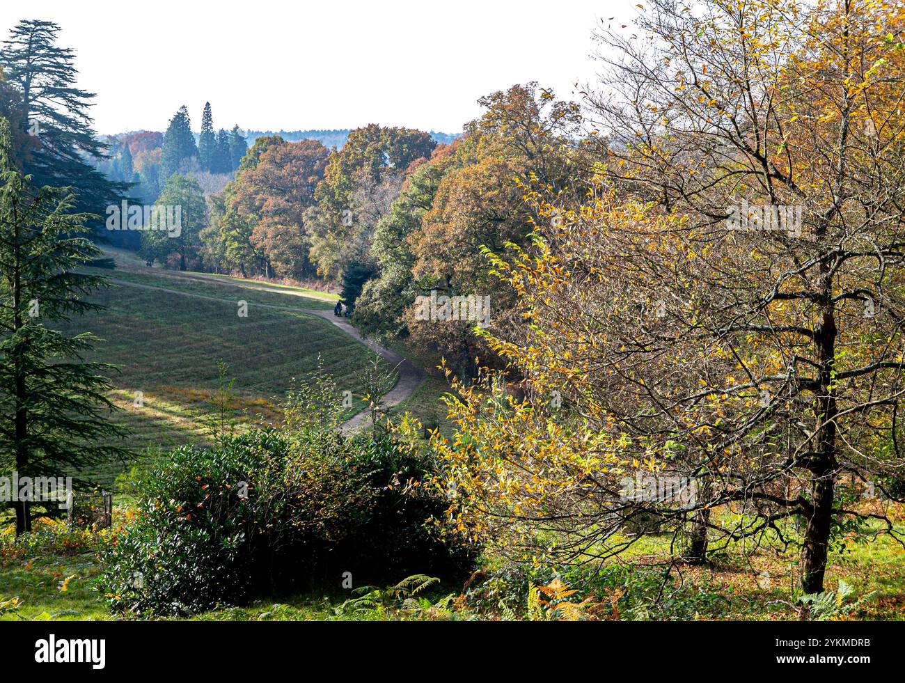 Haywards Heath, England. Picturesque views of the botanic gardens and ...