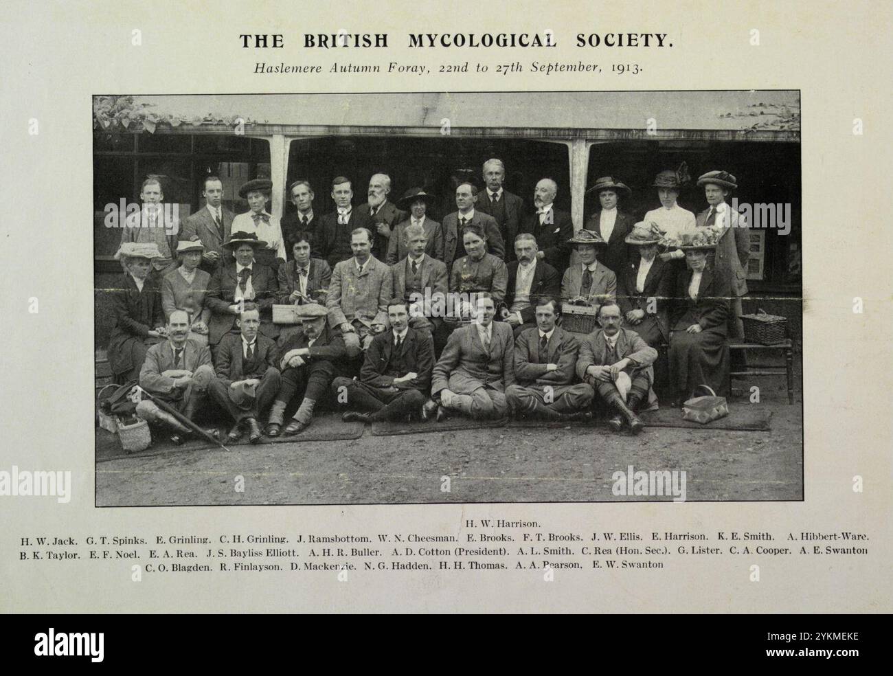 Mycological reference hi-res stock photography and images - Alamy