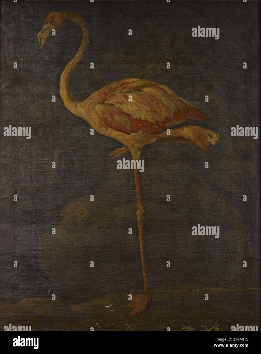 British School, Later Georgian - A Flamingo Stock Photo - Alamy