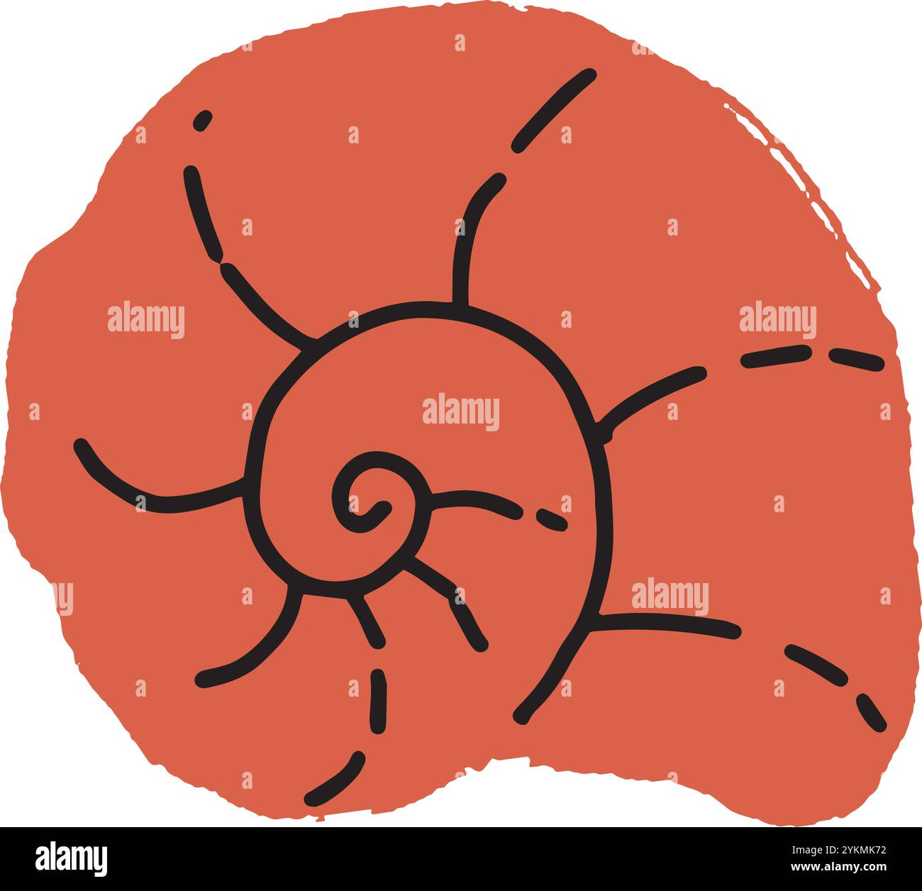 Spiral Shell Vector Art Illustration Stock Vector Image & Art - Alamy