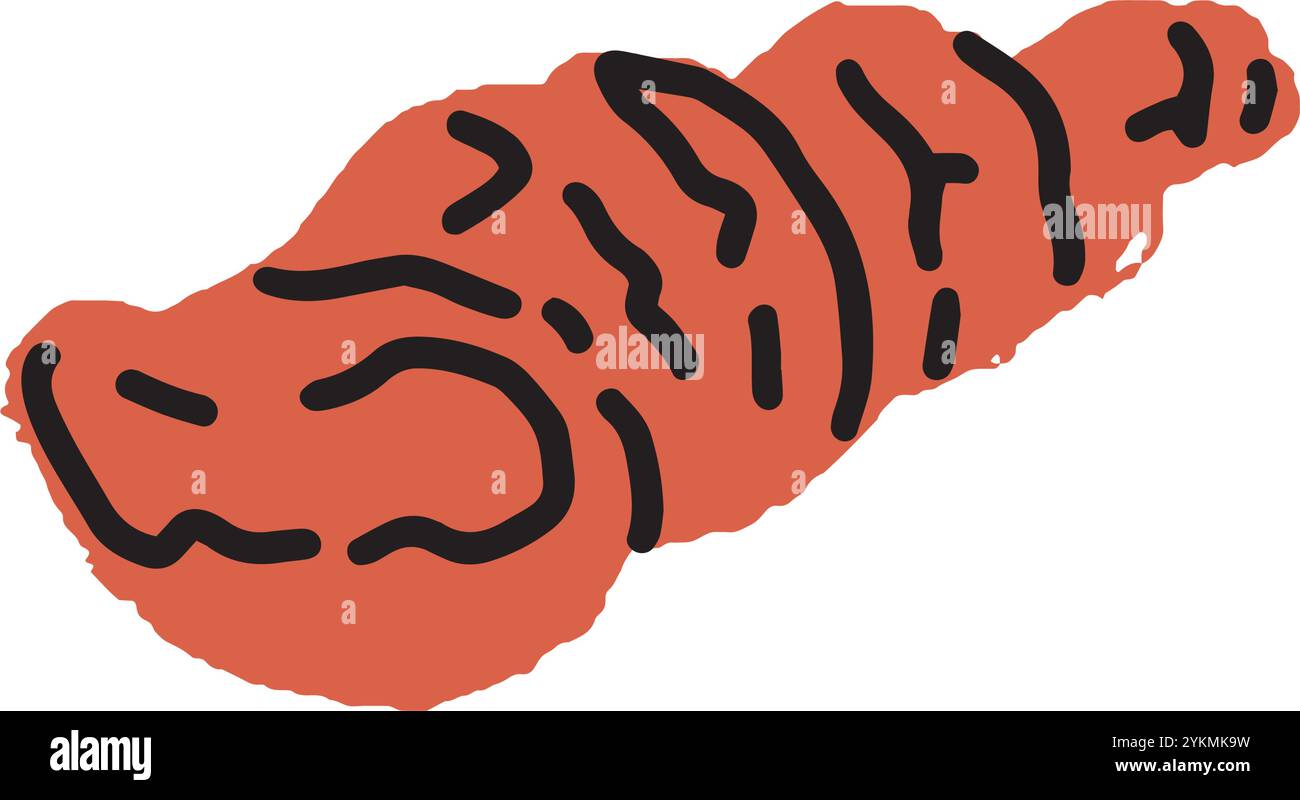 Red Sea Shell Vector Drawing Stock Vector Image & Art - Alamy