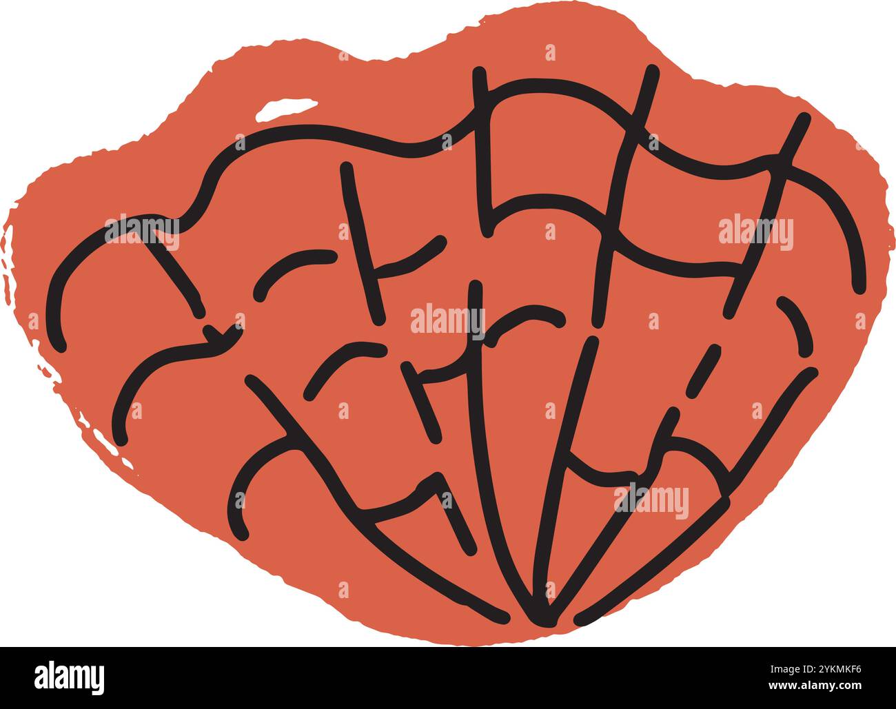 Textured scallop shell vector illustration Stock Vector Image & Art - Alamy