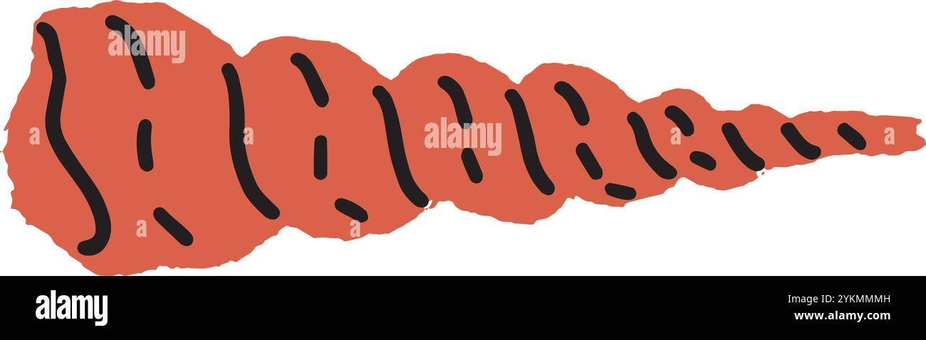 Long spiral seashell vector illustration Stock Vector Image & Art - Alamy