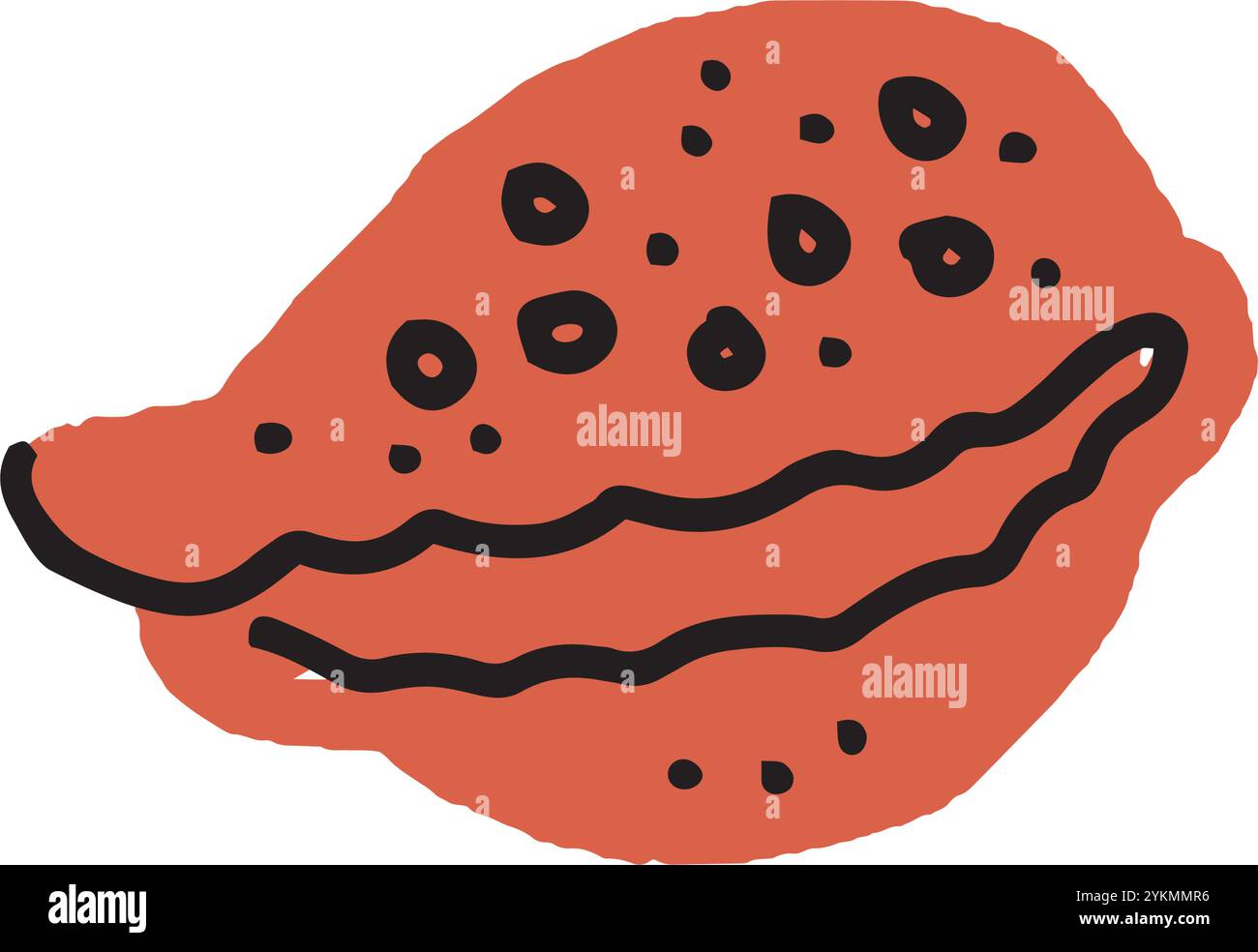 Hand drawn illustrated clam shell vector Stock Vector Image & Art - Alamy