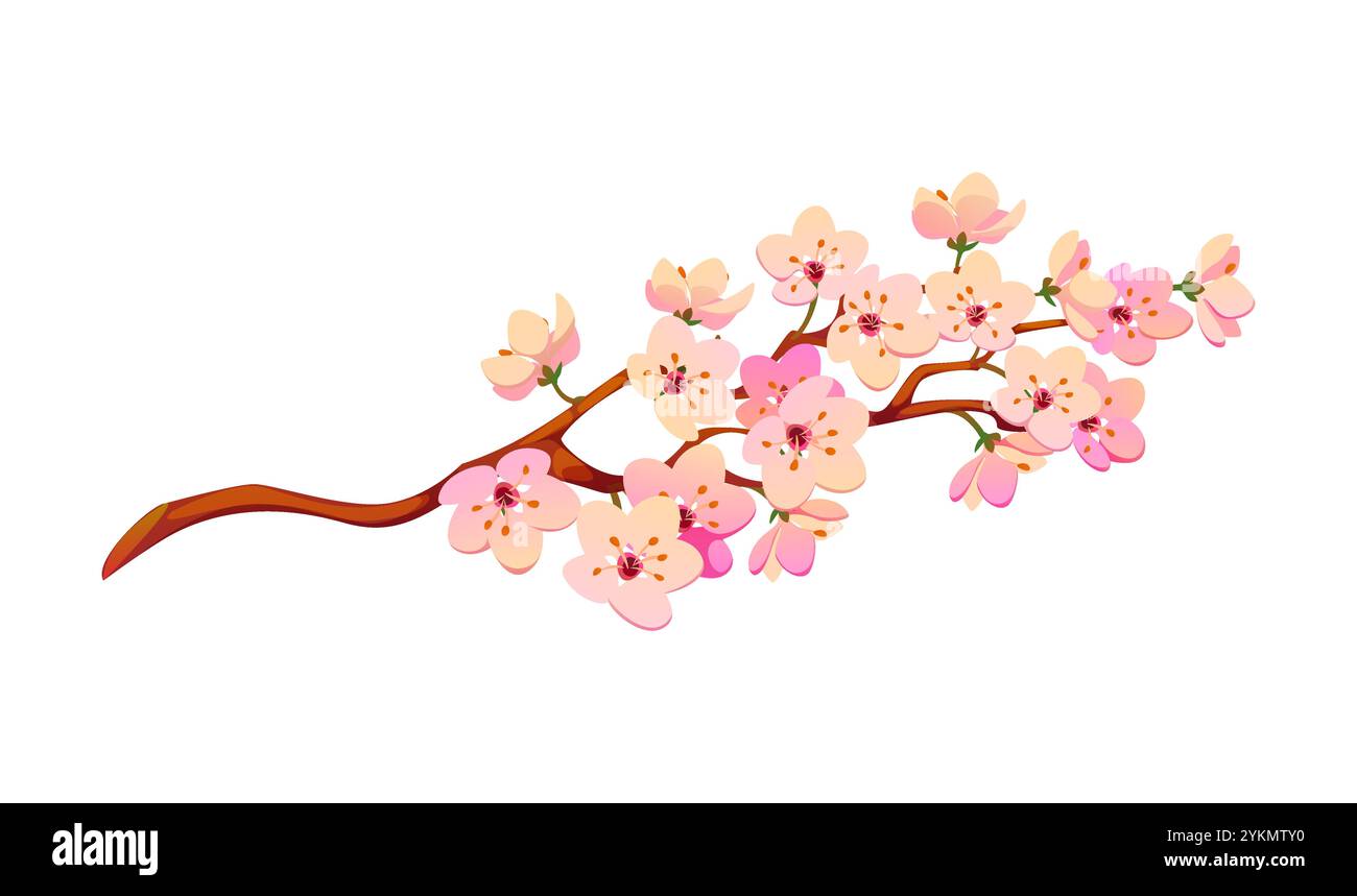 Delicate cherry or sakura blossom branch with soft pink flowers ...