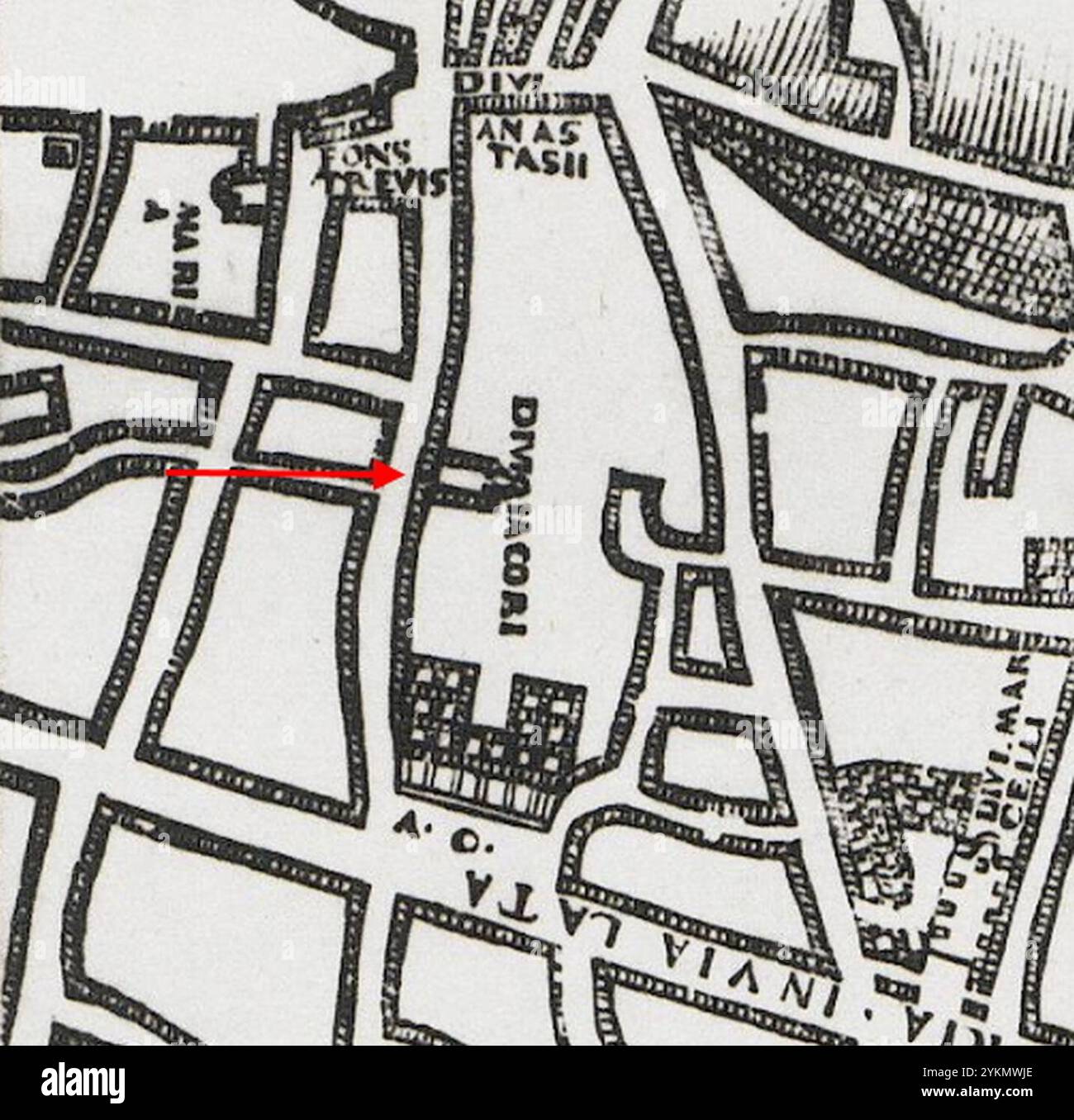 Alle muratte hi-res stock photography and images - Alamy