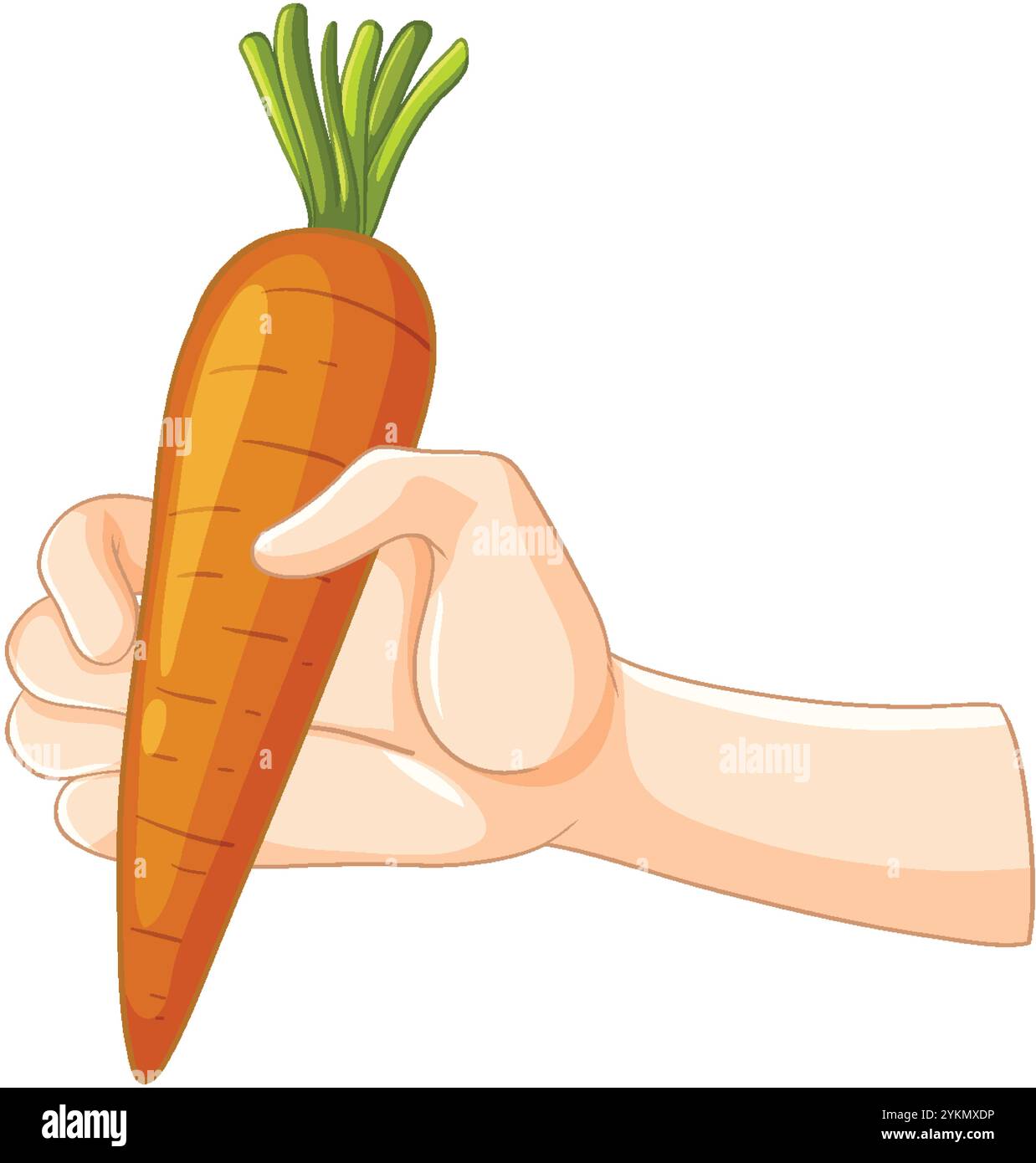 Illustration of a hand grasping a carrot Stock Vector Image & Art - Alamy
