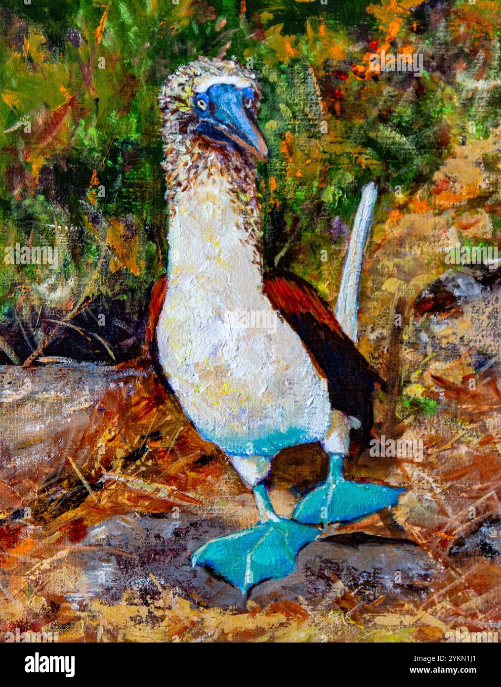 Colorful oil painting of a blue footed booby standing on a rock in its ...