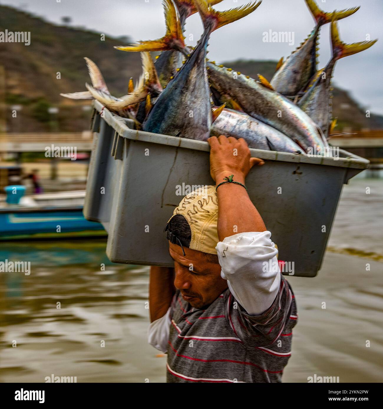 Fisherman carrying tuna hi-res stock photography and images - Alamy