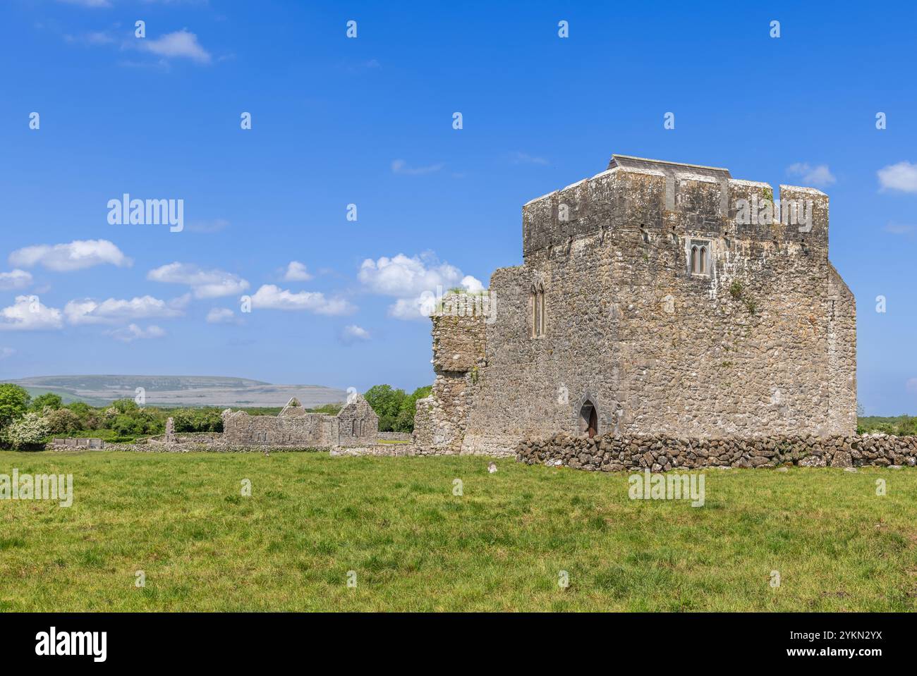 The tower house at Kilmacduagh Abbey in County Galway, Ireland, stands ...