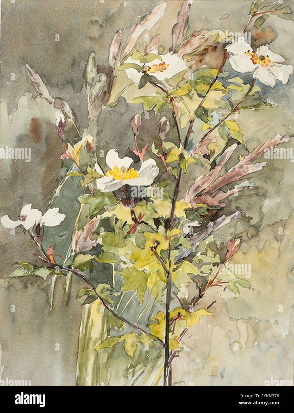 Barbara leigh smith bodichon hi-res stock photography and images - Alamy