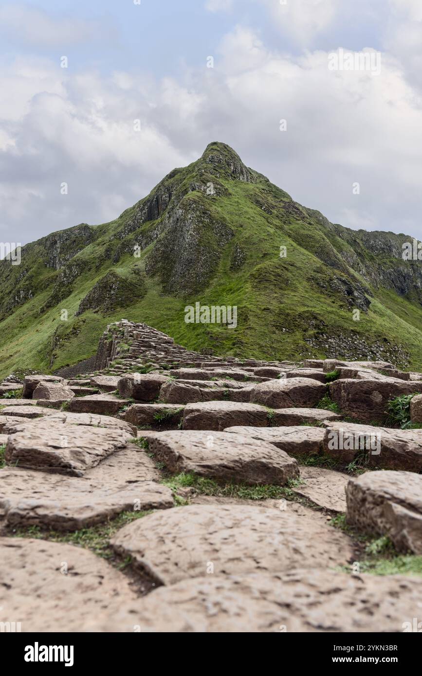 A vertical photo of Giant Causeway in Northern Ireland, showing a path ...