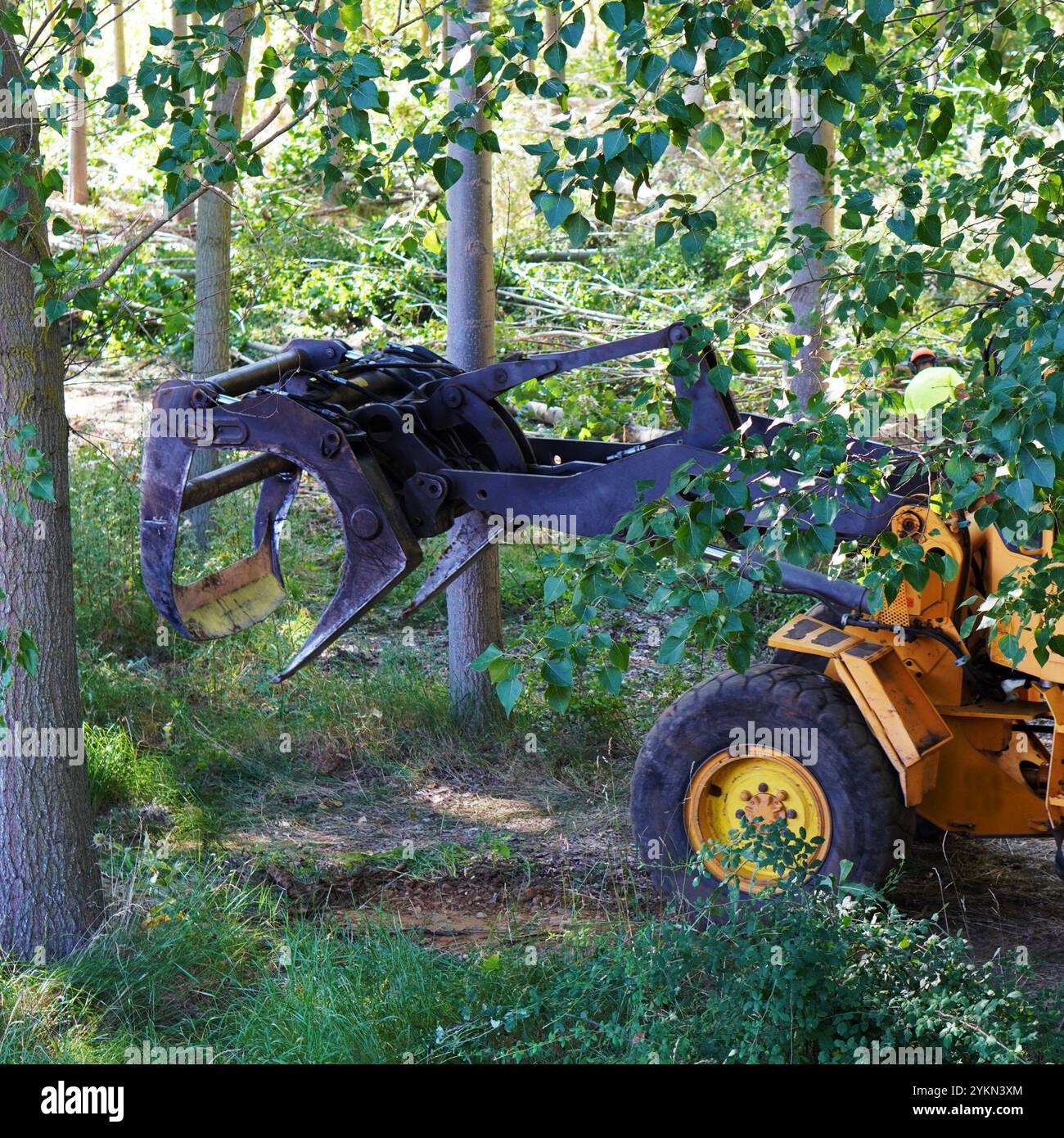 woodworking industry. machine with grapple to pick up and transport cut ...