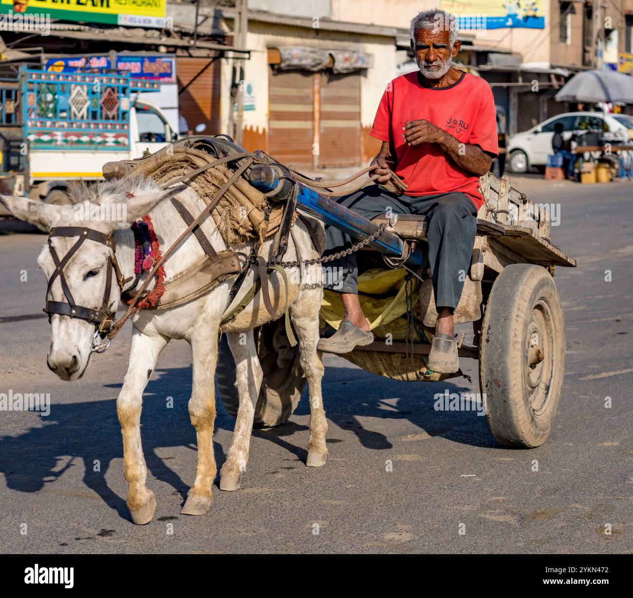 Local man rides a traditional horsedrawn cart through a bustling street ...