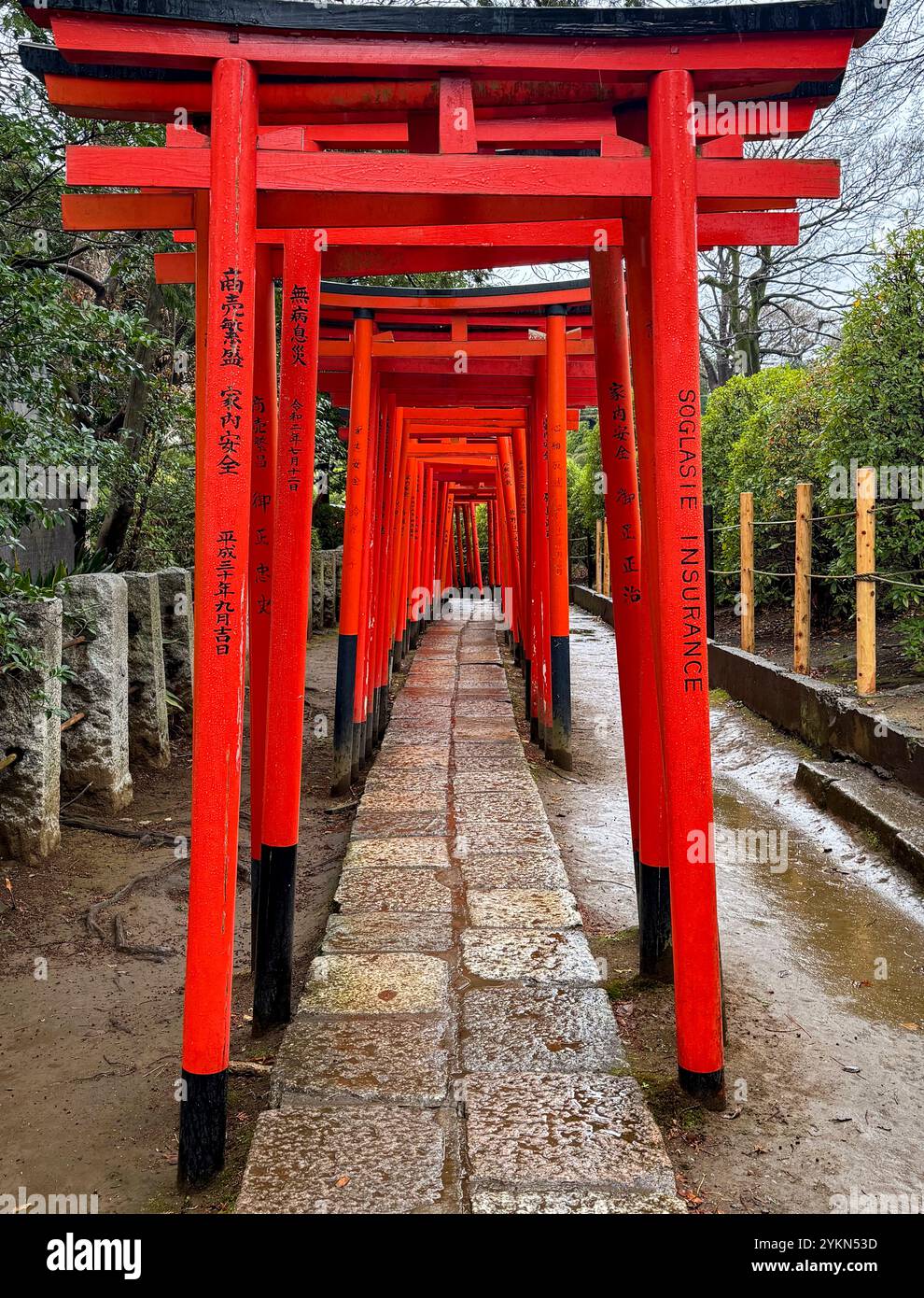 Captivating pathway lined with vibrant red torii gates at a shinto ...