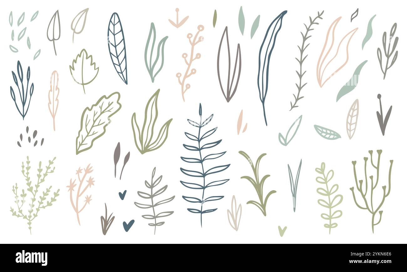 Doodle leaves and branches vector set Stock Vector Image & Art - Alamy