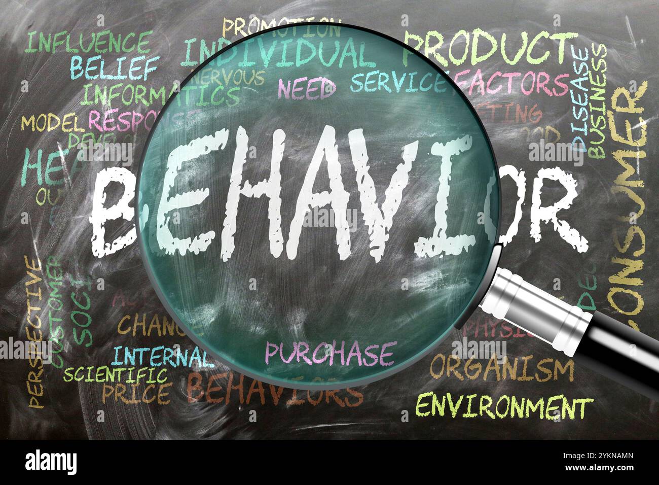 Behavior being studied, examined - under close inspection. Most ...