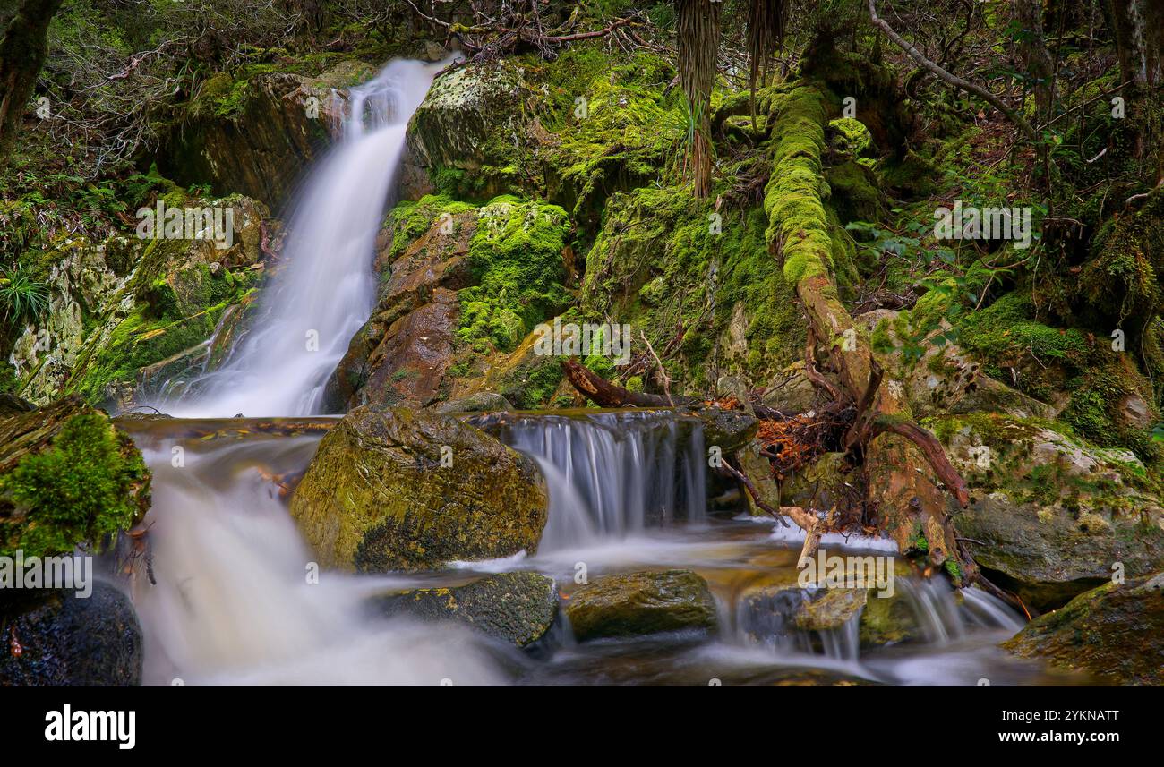 Long exposure image of Crater Falls cascades river rapids at Cradle ...