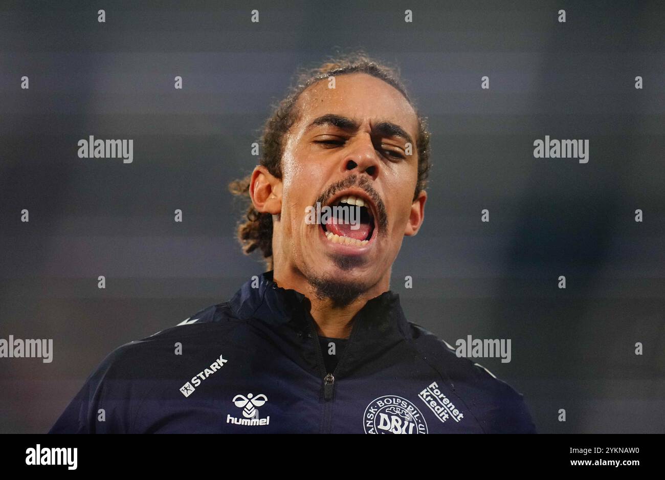 Dubocica Stadium, Leskovac, Serbiia. 18th Nov, 2024. Yussuf Poulsen of ...