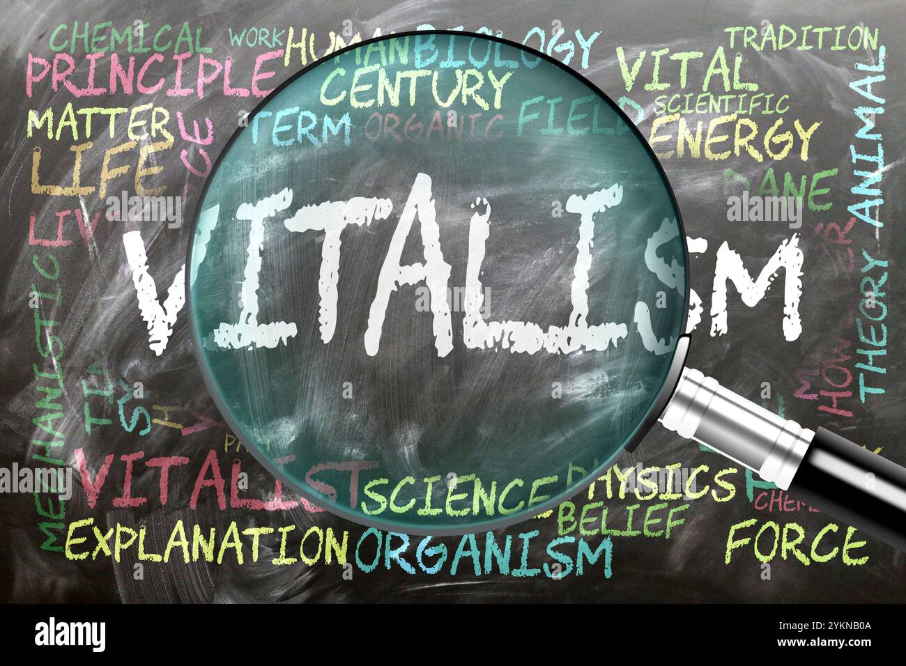 Studied organisms hi-res stock photography and images - Alamy