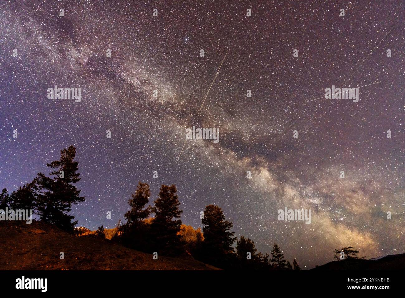 Milky Way galaxy, pine trees silhouette under a clear starry night sky ...