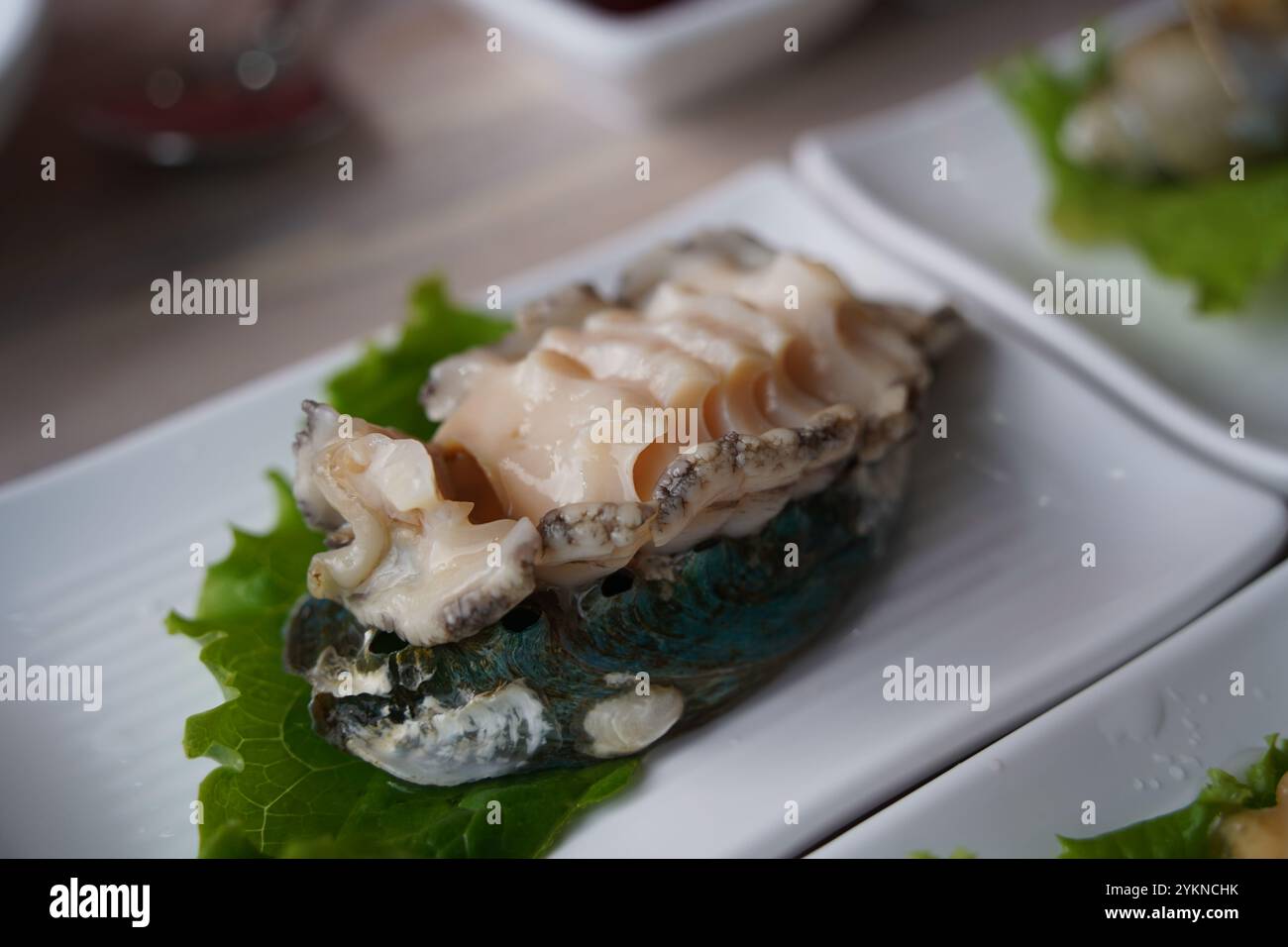 Abalone shellfish shell fish hi-res stock photography and images - Alamy