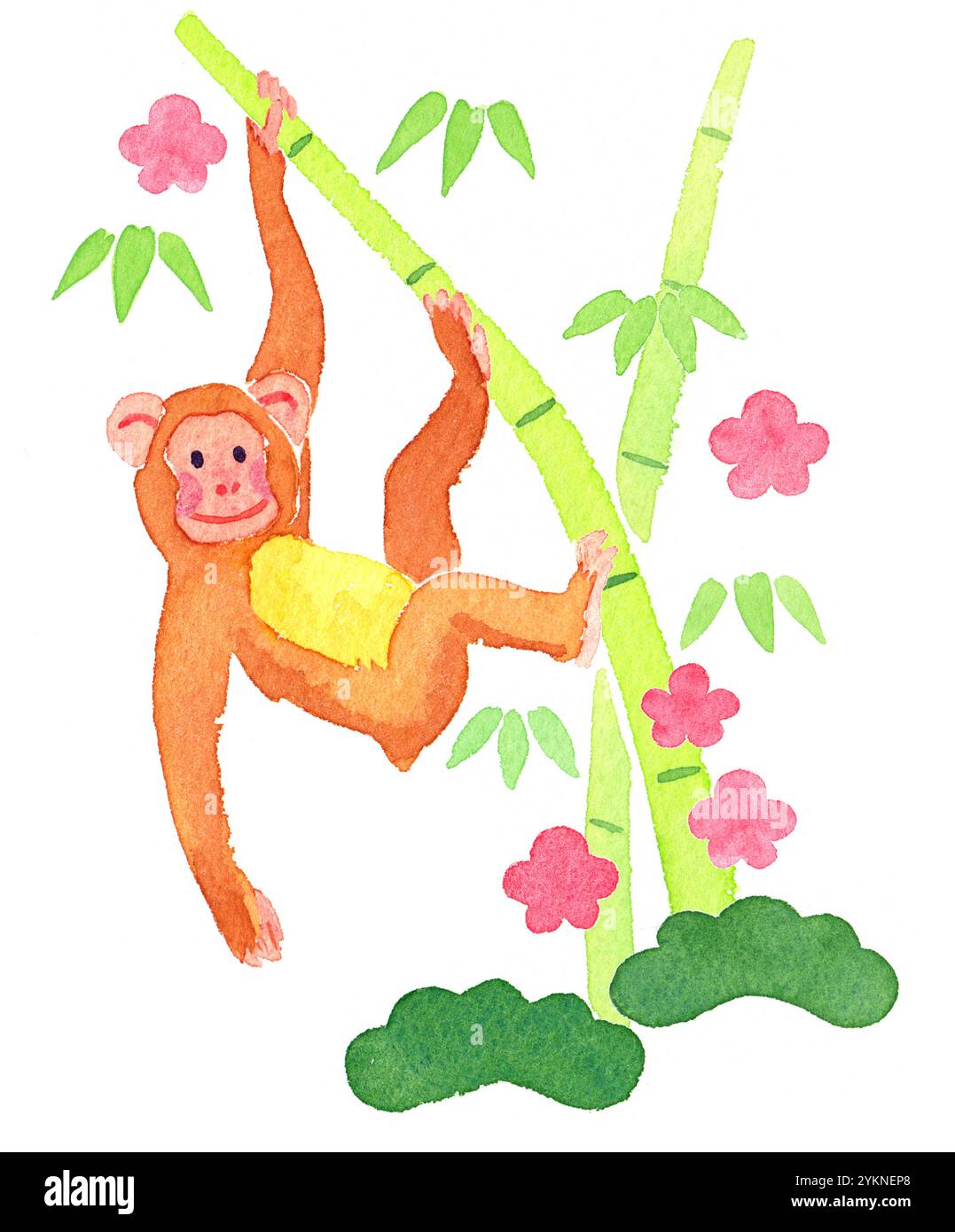 Monkey Zodiac Illustration Stock Photo - Alamy