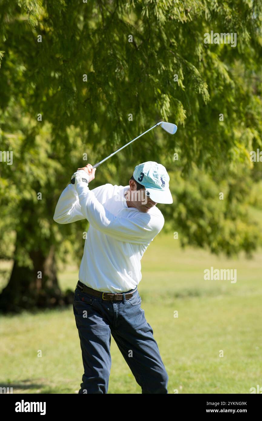 Middle-aged man playing golf Stock Photo - Alamy
