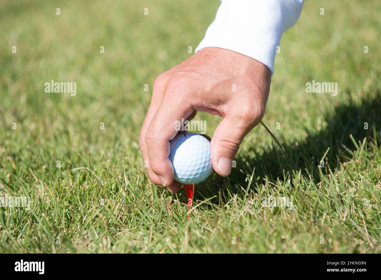 Hand put golf ball hi-res stock photography and images - Alamy