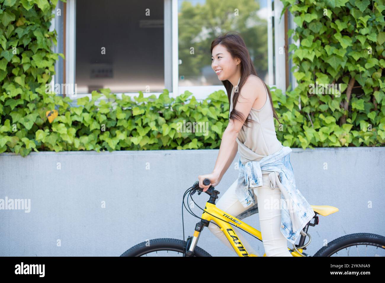 Woman riding a bicycle Stock Photo - Alamy