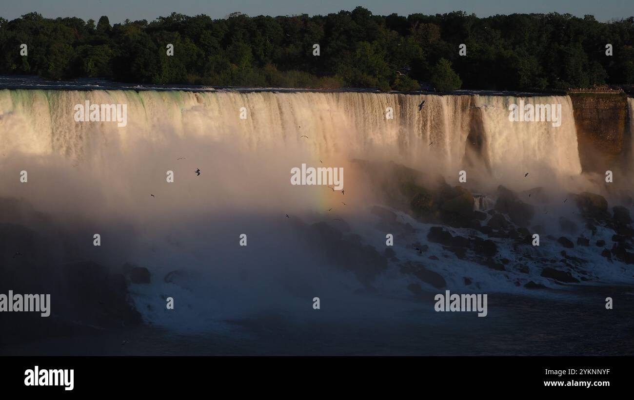 High resolution olympus camera hi-res stock photography and images - Alamy