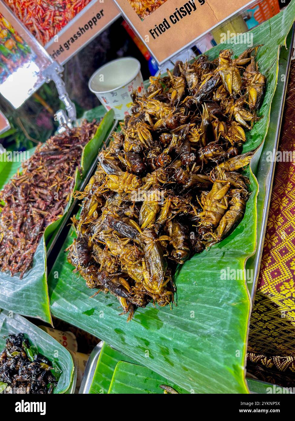 Bangkok, Thailand, Close up, Modern Shopping Center, I »Consiam", THai ...