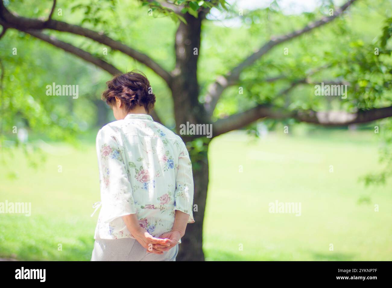 Senior woman walking in park, back view Stock Photo - Alamy